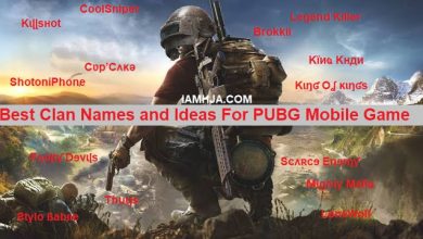1500+ Best PUBG, COD, & COC Clan Names+UserNames