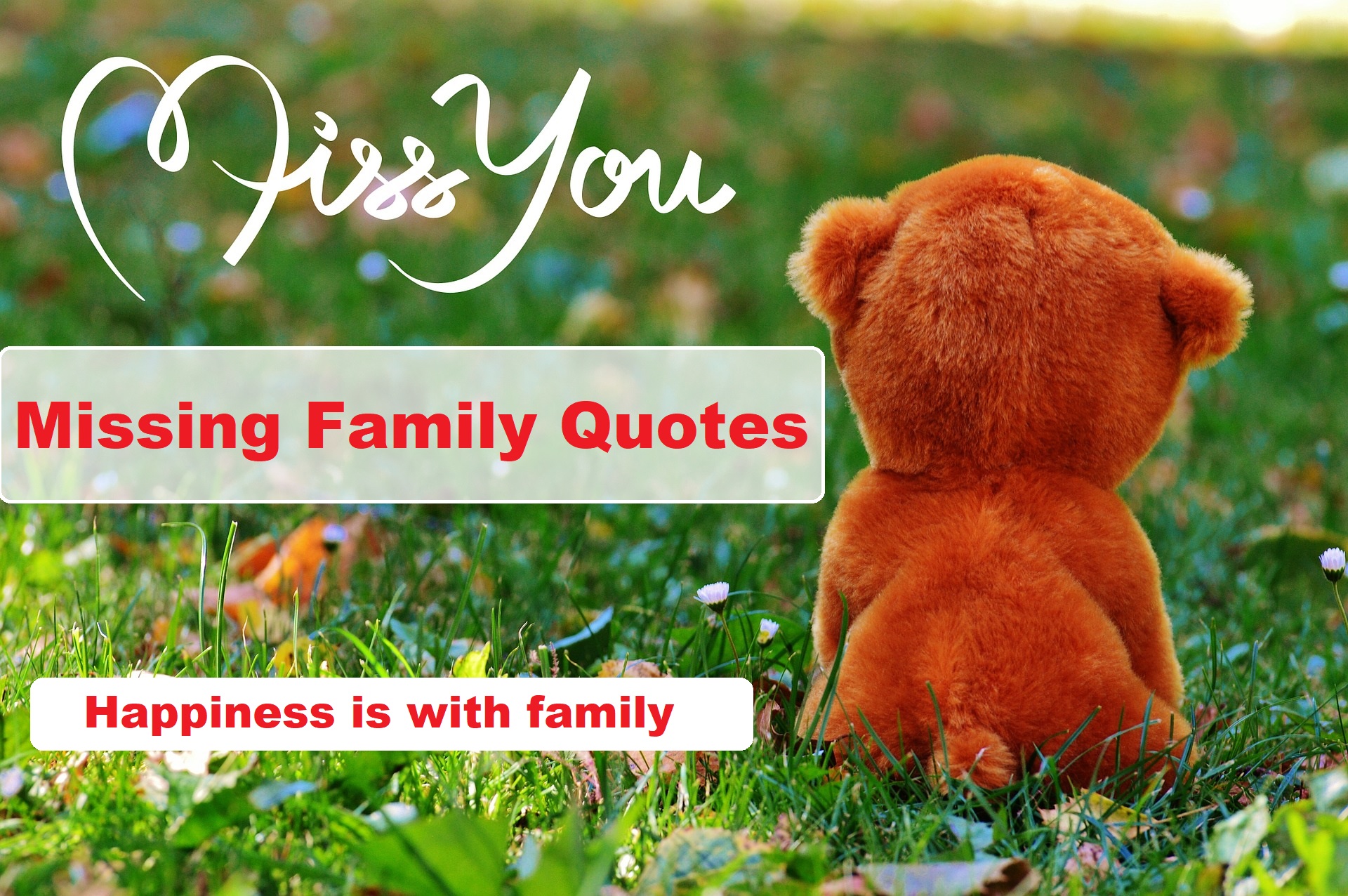 171+ Family Captions & Happy Missing Family Quotes