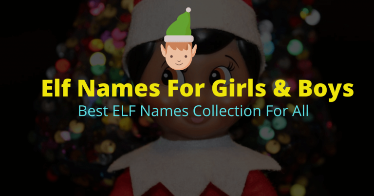 360+ Best Elf Names For Girls & Boys 2024