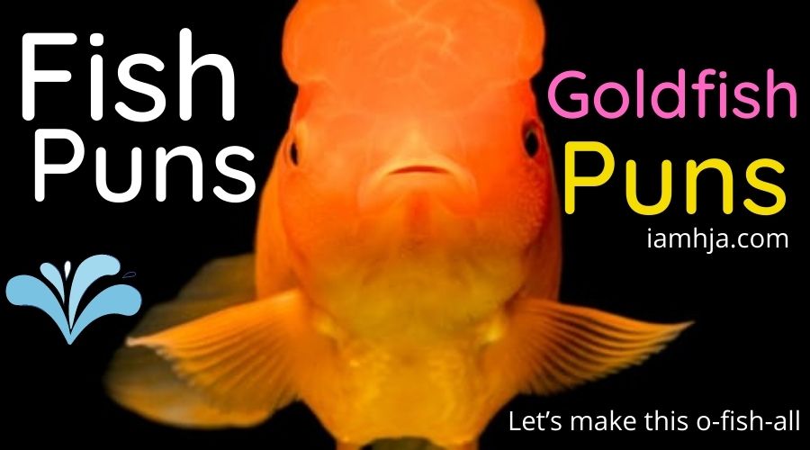 102 Best Fish Puns Mastering the Depths of Fin-tastic Humor