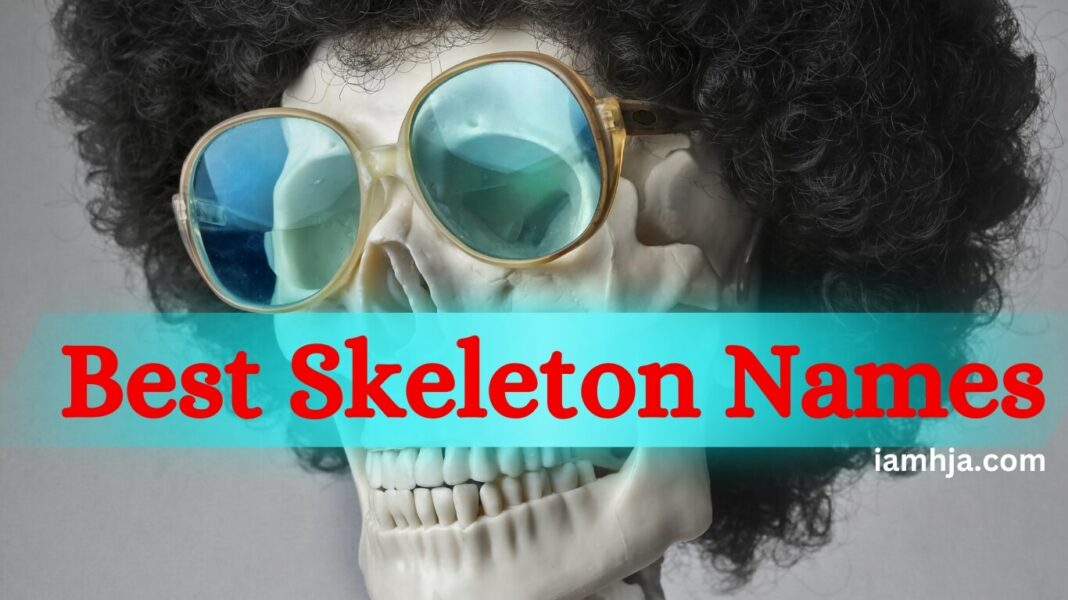 170+ Best Skeleton Names - Male, Female, Funny & Cool