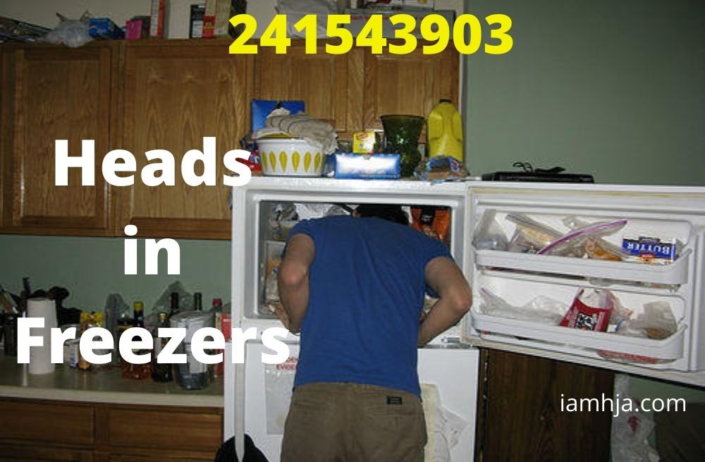241543903 - What is the Story Behind? Heads in Freezers