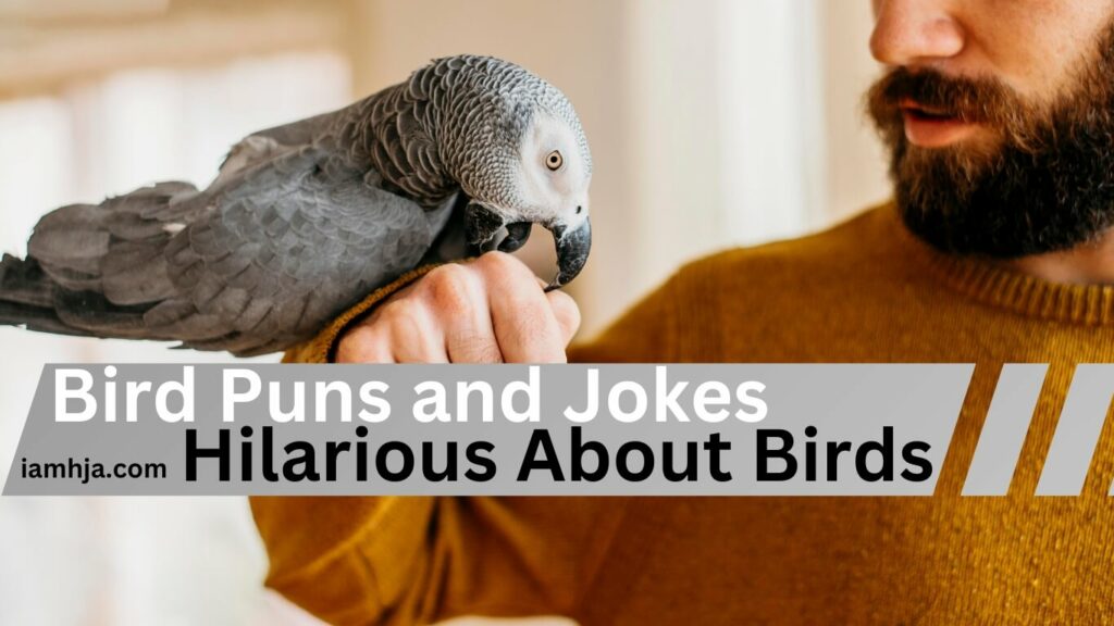 90+ Bird Puns and Jokes: Hilarious About Birds