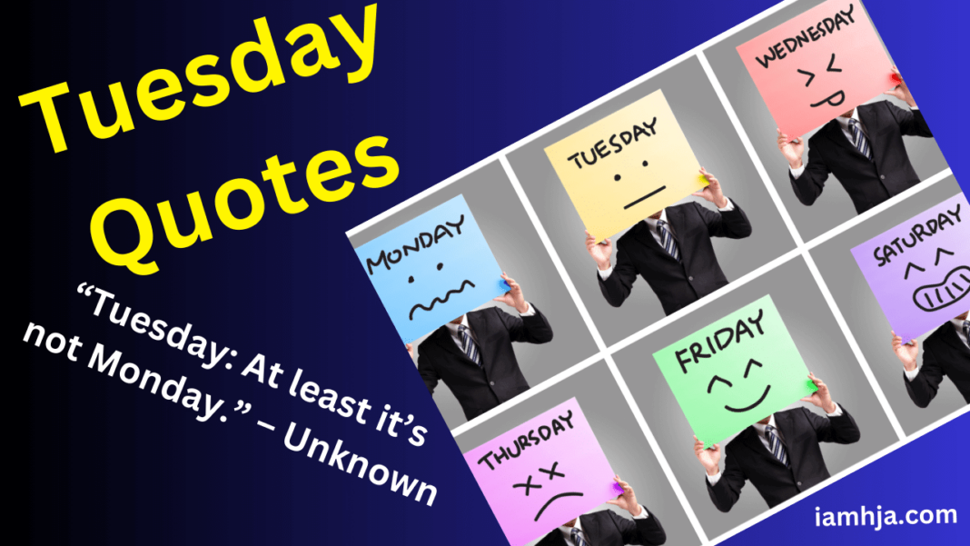 169 Tuesday Quotes to Transform Your Midweek Mindset